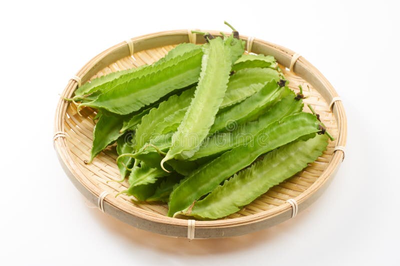 Winged Beans on White Background Stock Photo - Image of cross, green ...