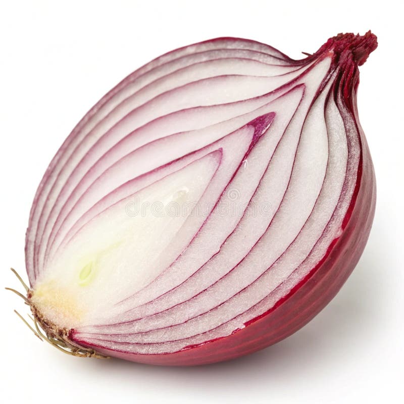 Cross-section of Red Onion Showcasing Its Layered Structure Isolated ...