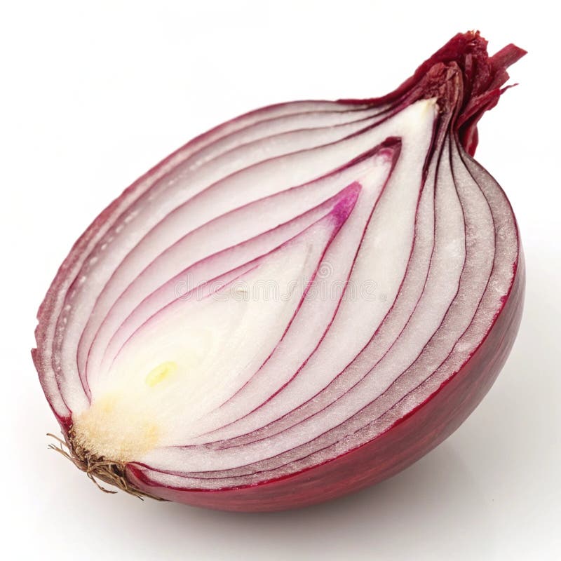Cross-section of Red Onion Showcasing Its Layered Structure Isolated ...