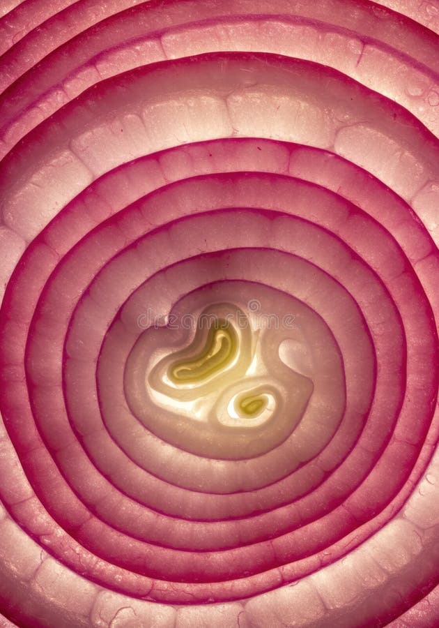 Cross Section of Red Onion Showing Concentric Rings and Texture Stock ...
