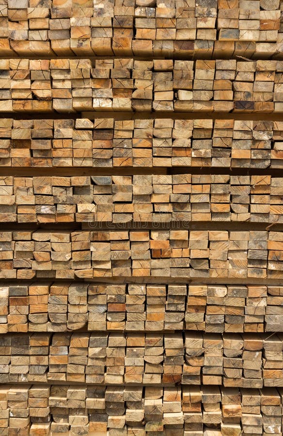 Cross Section of the Timber Stock Image - Image of lumber, forestry ...