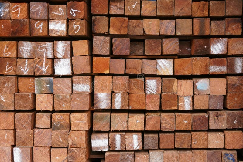 Cross Section of Sawn Timber,Selection of Freshly Sawn Timber Material ...