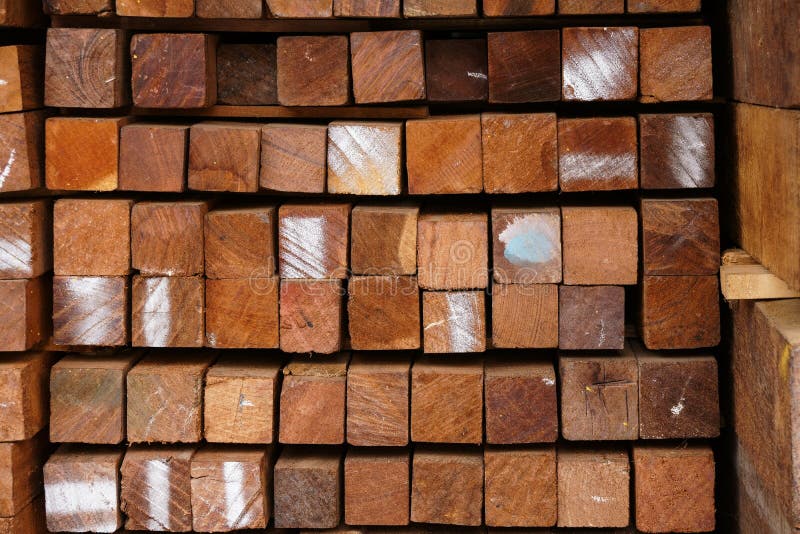 Cross Section of Sawn Timber,Selection of Freshly Sawn Timber Material ...