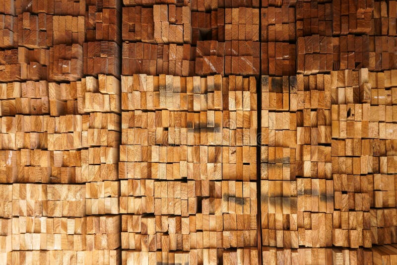 Cross Section of Sawn Timber,Selection of Freshly Sawn Timber Material ...