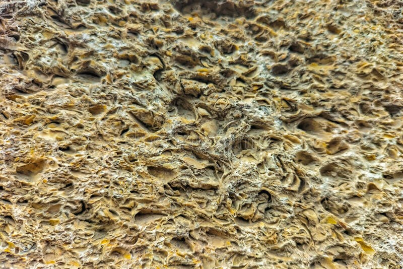 Cross-section of a Shell Wall with Irregularities and Air Gaps between ...