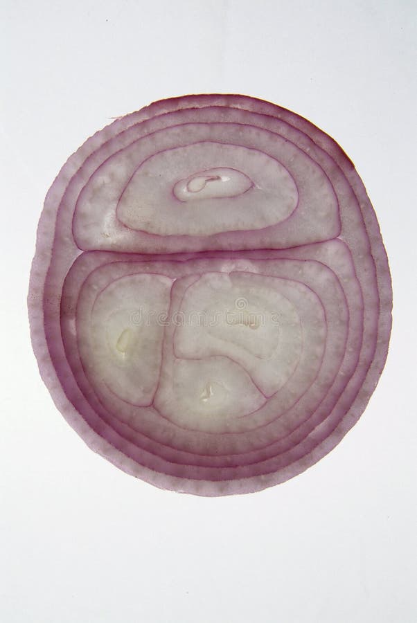 Cross Section Slice of Red Onion and Garlic Against Light Background ...