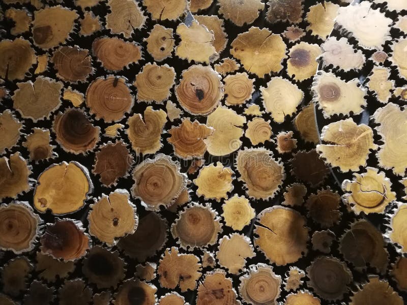 The Cross-section of a Small Piece of Wood Has a Beautiful Pattern ...
