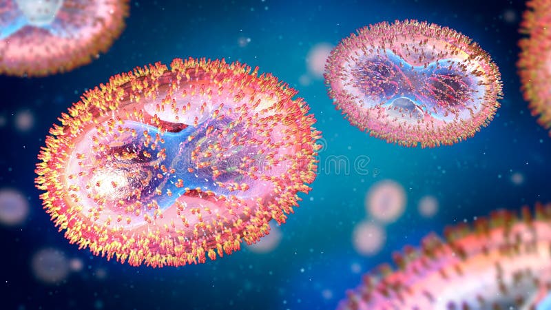 Cross Section of a Smallpox Pathogen with Cell Membrane, Nucleocapsid ...