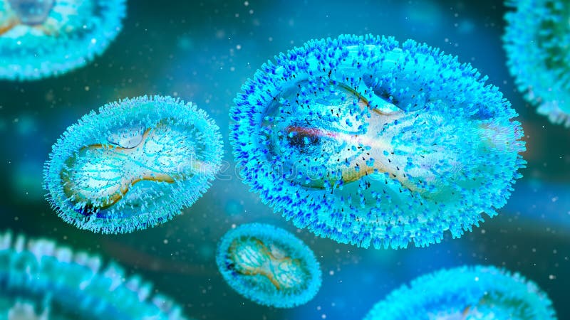 Cross Section of a Smallpox Pathogen with Cell Membrane, Nucleocapsid ...