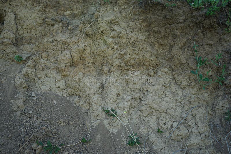 Texture Layers of the Earth. Cross-section in the Soil Stock Image ...