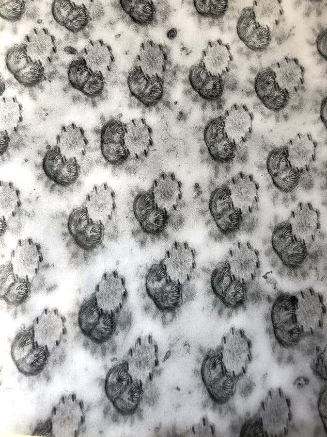 Antonie Van Leeuwenhoek Accomplishments Stock Photos - Free & Royalty ...