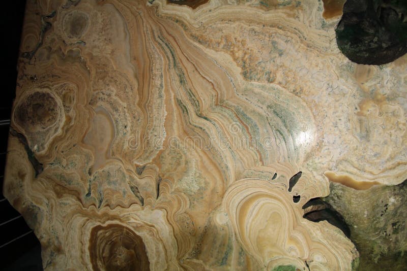 Cross Section of a Stalactite. Stock Photo - Image of stalactite, rock ...