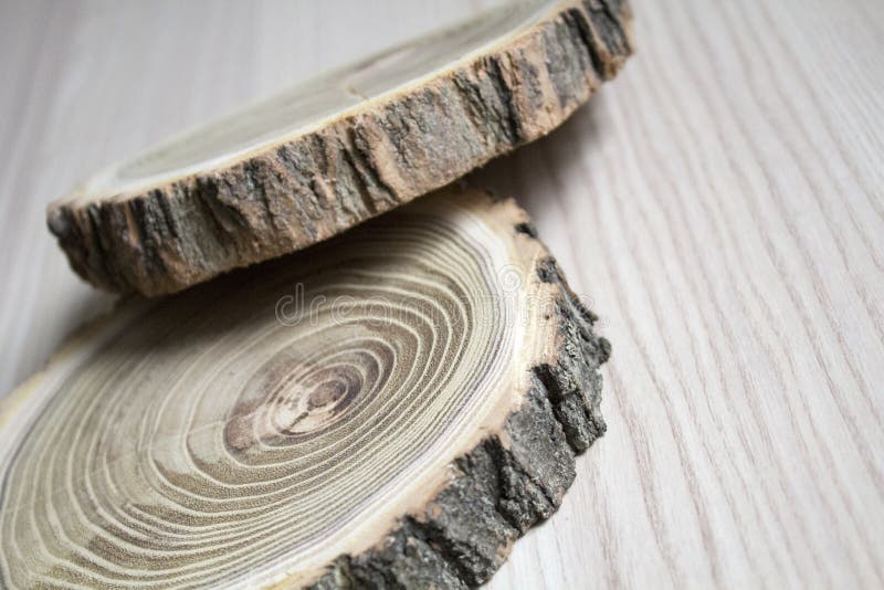 Cross section of the tree stock photo. Image of cross - 110269384