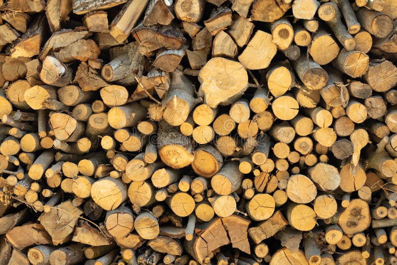 Cross Section of Tree Trunks Background. Cutting Tree Trunks Placed ...