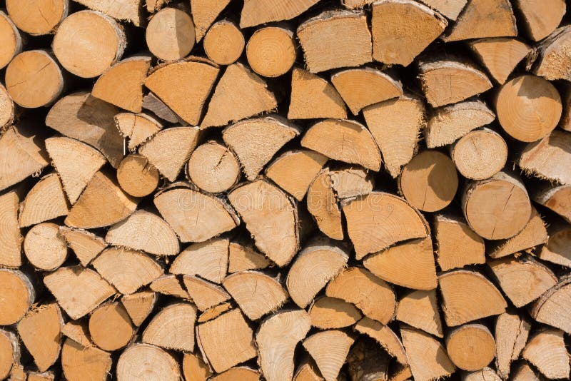 Cross Section of Tree Trunks Background. Decoration of Cutting Tree ...