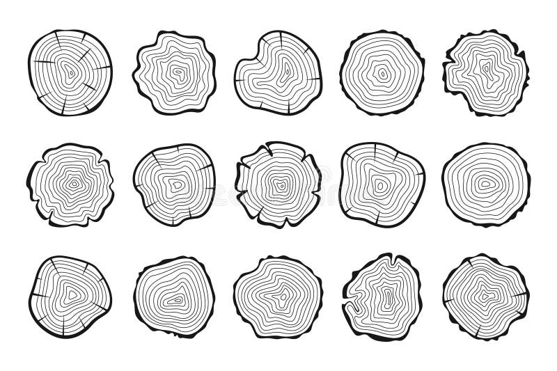 Cross Section Tree, Wood Wavy Ring Pattern from, Trunk Circle Slice ...