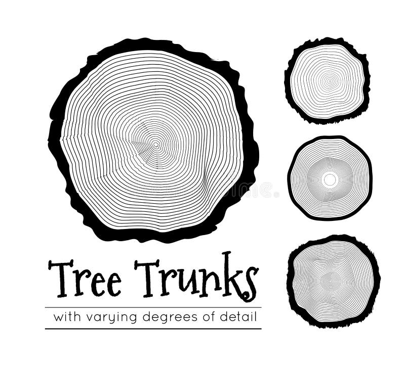 Cross Section of the Trunk, Vector Illustration Stock Vector ...