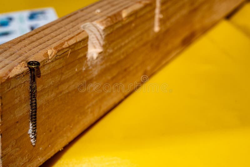 Cross-section View of a in a Pine Wooden Stud Stock Photo - Image of ...