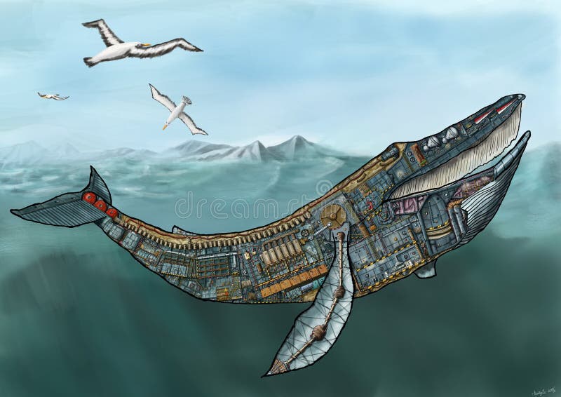 Cross section of the whale stock illustration. Illustration of ...