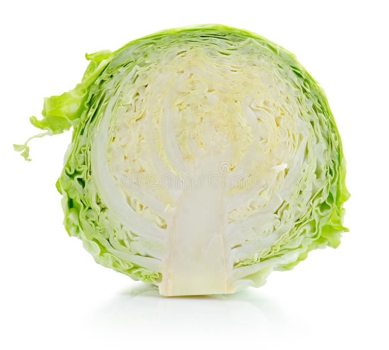 Cross Section of White Cabbage Isolated on White Background Stock Image ...