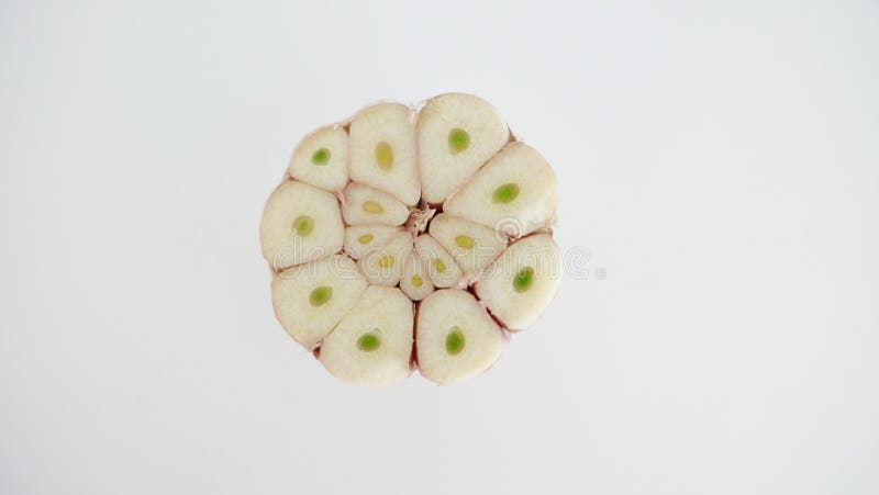 1,019 Garlic Cross Section Stock Photos - Free & Royalty-Free Stock ...