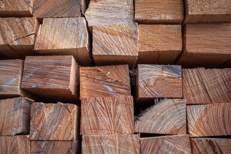 Cross-section of Wood Material that Has Been Cut and Ready To Use ...
