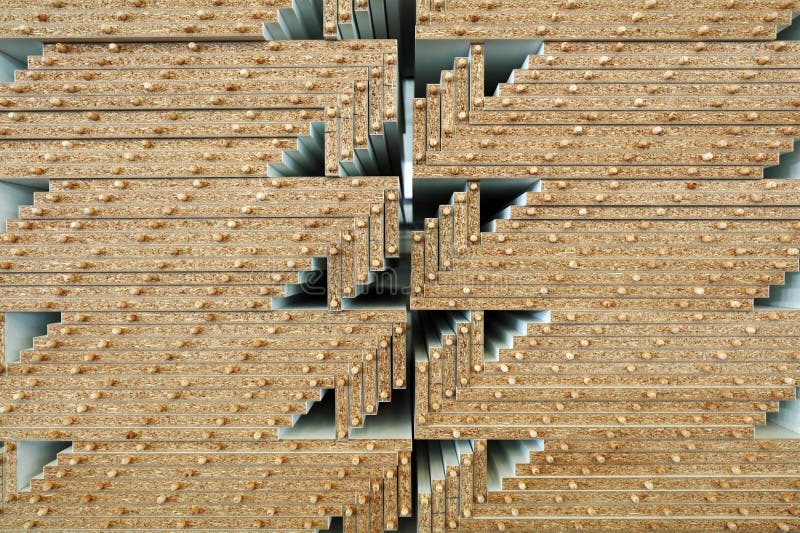 Cross Section of Wood Raw Materials Stock Photo - Image of material ...