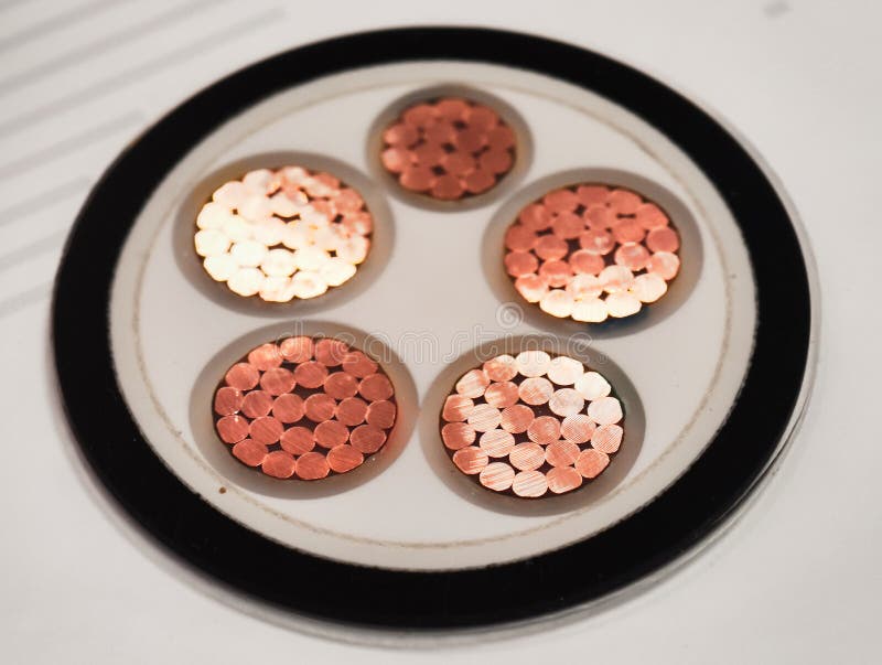 Cross-sectional View of Power Electric Cable Revealing Intricate Copper ...