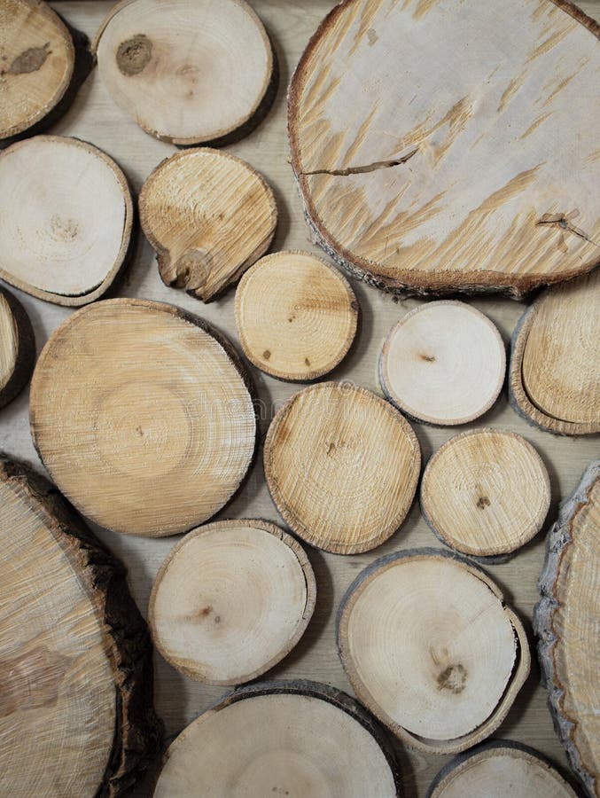 Cross Sections of Wooden Tree Trunks Stock Image - Image of timber ...