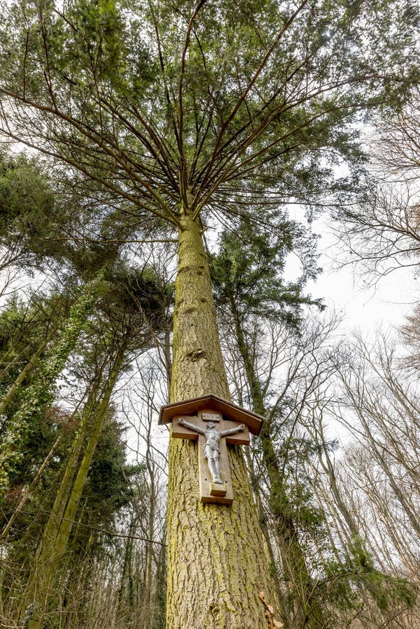 Cross on tree in forest stock photo. Image of faith, religion - 87288696