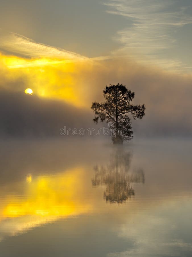 Cross Tree Reflection at Sunrise Stock Photo - Image of solitude, cross ...