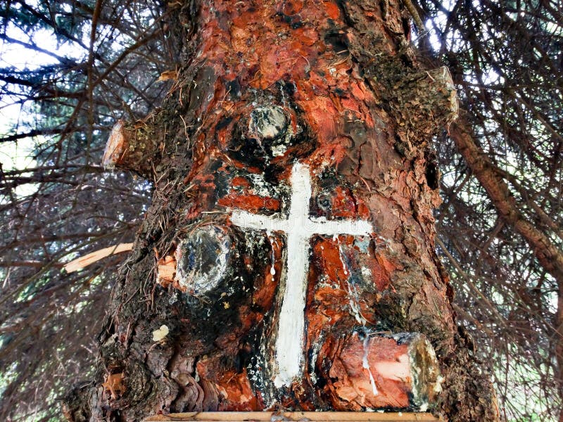 Cross on a tree stock photo. Image of cross, drawn, nature - 91805346