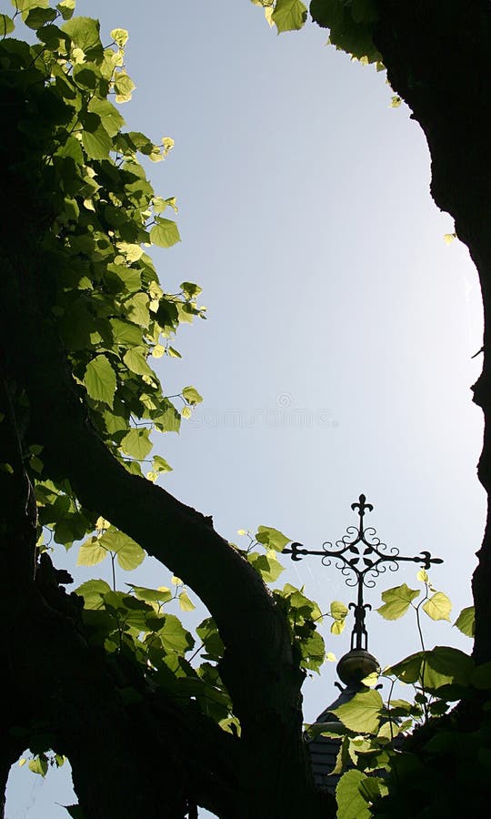 Cross between the trees stock image. Image of holy, cross - 1272177