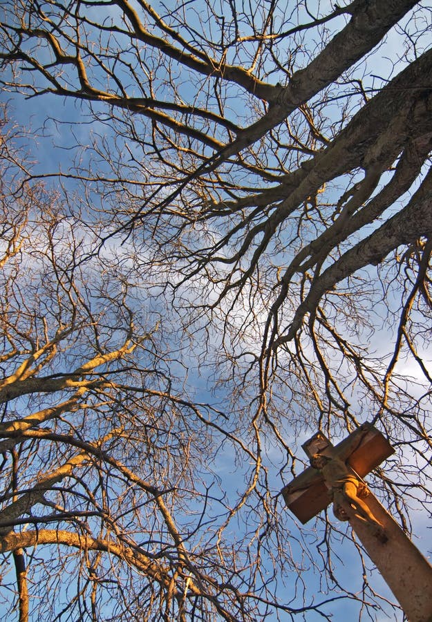 A cross and trees stock photo. Image of memoriam, religion - 2428006