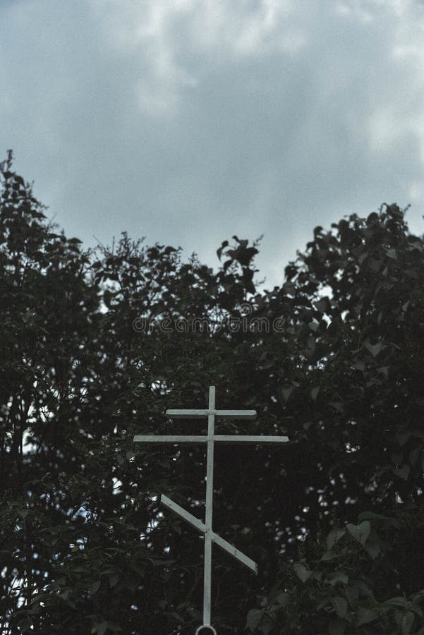 Cross stock photo. Image of trees, white, plant, morning - 224329882