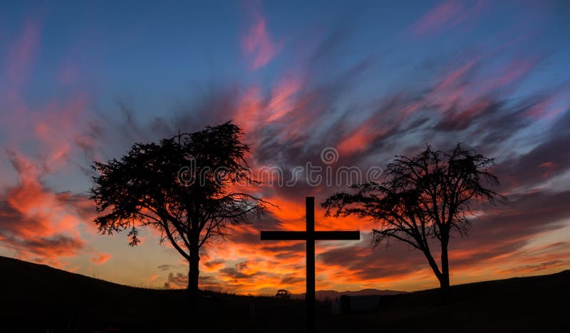 Cross and Tree stock photo. Image of christianity, religious - 36166698