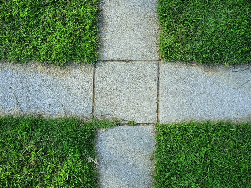 Cross Walkway stock photo. Image of park, walk, gardening - 52358846