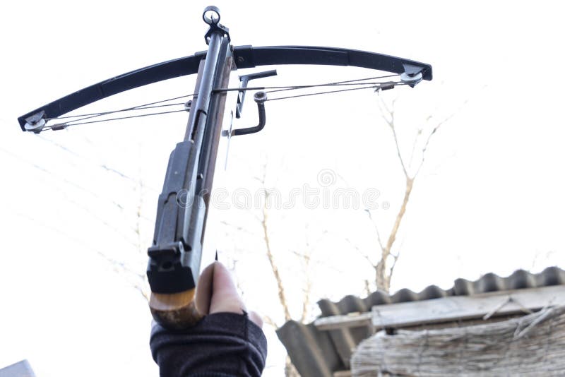 A Man with a Crossbow in His Hands Stock Image - Image of equipment ...