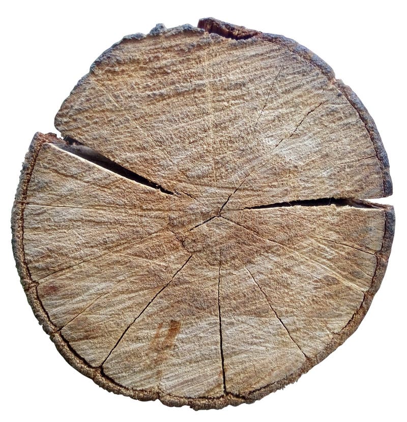 130 Crossed Log Stock Photos - Free & Royalty-Free Stock Photos from ...