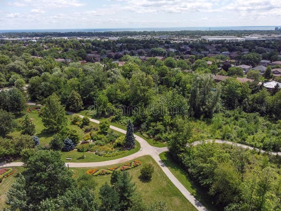 Crossed paths stock photo. Image of city, nature, plant - 382023238