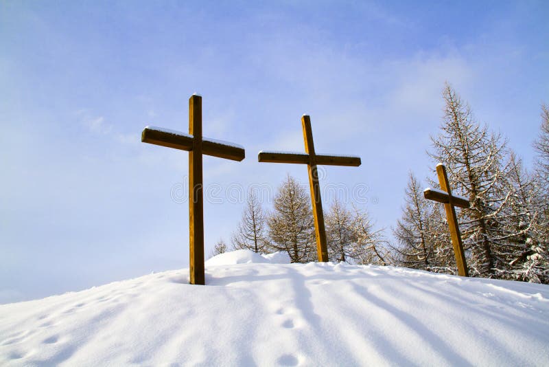 Crosses the snow stock photo. Image of hill, conifer - 12464712