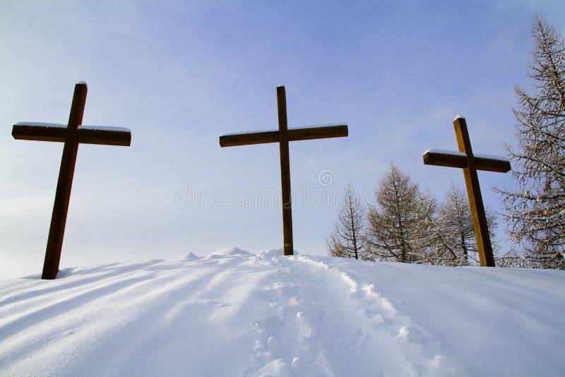 Crosses the snow stock photo. Image of hill, conifer - 12464712