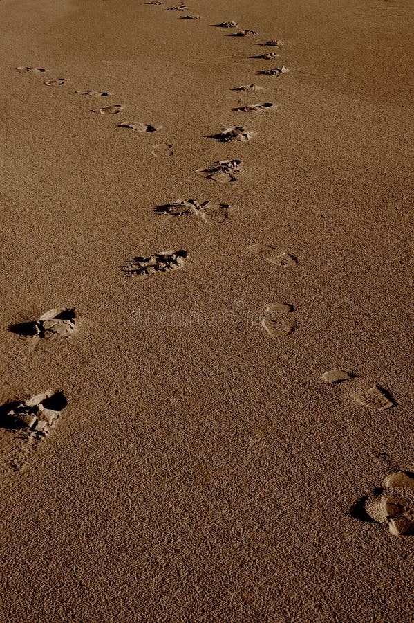 Crossing Footprints in Sand Stock Photo - Image of wandering, path: 799988