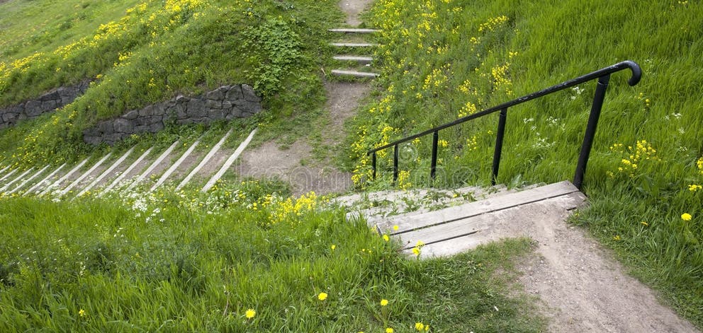 Crossing pathway stock photo. Image of pathway, season - 199324638