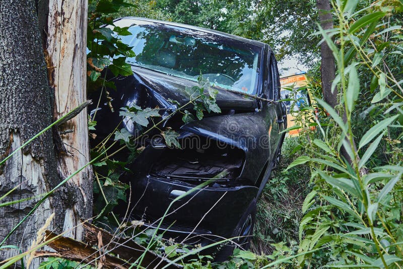 Crossover Collision with a Tree on a Road at the Scene of a Car ...