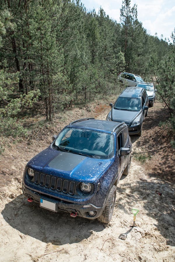 Crossovers Group at Sandy Trail in Forest Stock Photo - Image of ...