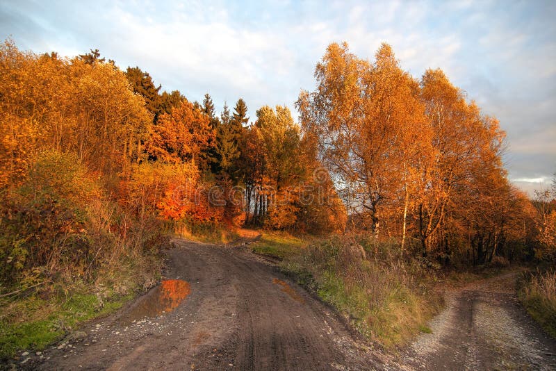 Crossroads in autumn wood. stock photo. Image of outdoor - 27017238