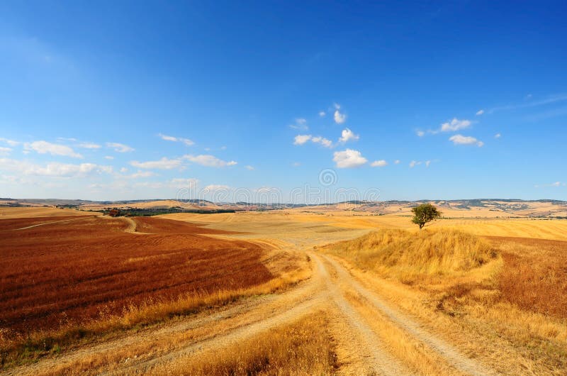 Crossroads in the Field at Sunset. Split Country Road. Beautiful Clouds ...