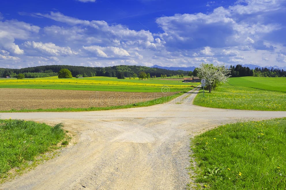 Crossroads stock photo. Image of weather, cross, background - 17789282