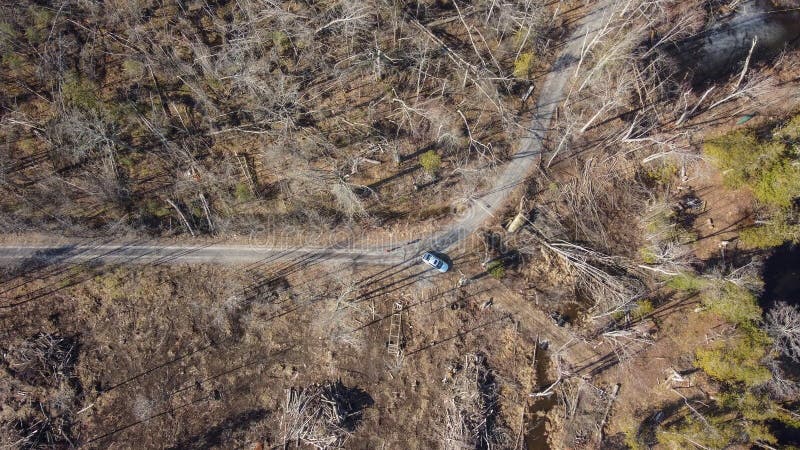 Crossroads stock photo. Image of tree, crossroads, nature - 315937124